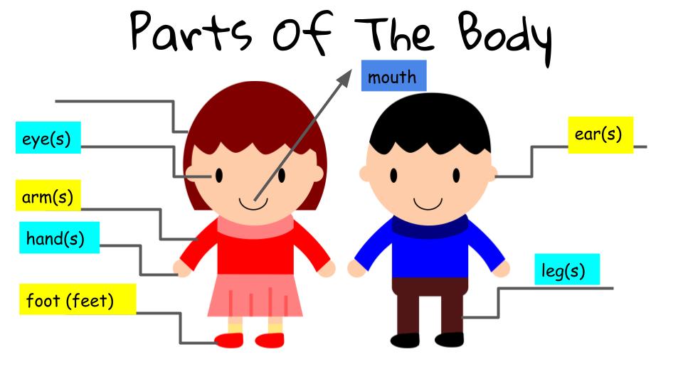 How can Google Slides Help Teach about The Parts of the Body?